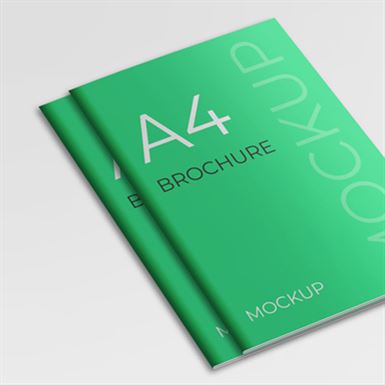 Custom Eco-Friendly Printing Paper Bag & Hand Fans Manufacturer